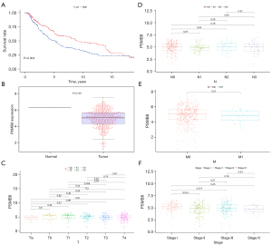 Bioinformatics analysis identifies PSMB8 as a key gene in the cutaneous ...
