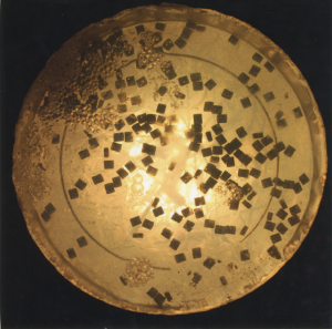 Networked Life - Gribble - Cardiovascular Diagnosis and Therapy