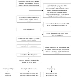 Therapeutic effects of a pulsatile GnRH pump on adult male patients ...