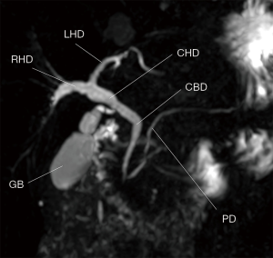 Gradient- and spin-echo (GRASE) MR imaging: a long-existing technology ...