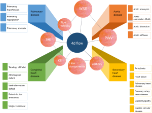 The role of 4D flow MRI for clinical applications in cardiovascular ...