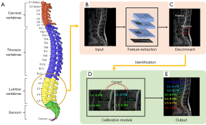 Current development and prospects of deep learning in spine image ...