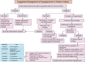 Hypoglycemia in the preterm neonate: etiopathogenesis, diagnosis ...