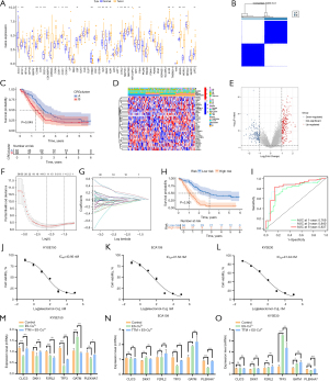 Role of PLEKHA7 in promoting radioresistance in esophageal cancer cells ...