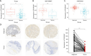 Role of PLEKHA7 in promoting radioresistance in esophageal cancer cells ...