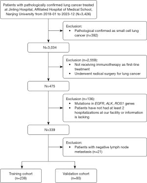 Lymph nodes metastatic burden as a prognosticator for advanced non ...