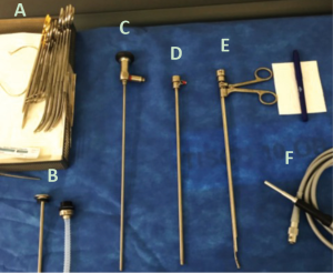 Medical thoracoscopy and its evolving role in the diagnosis and ...
