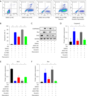 The role and mechanism of PDZ binding kinase in hypobaric and hypoxic ...