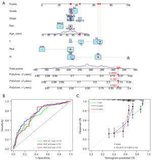 Development and validation of an immune-related gene signature for the ...