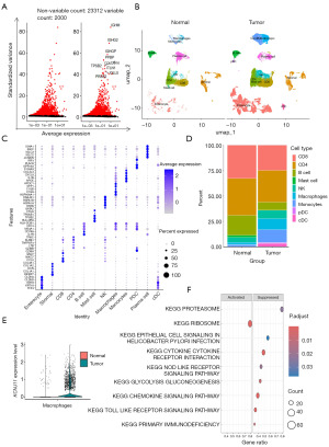 KCNJ11 as a prognostic and therapeutic target in colon adenocarcinoma ...