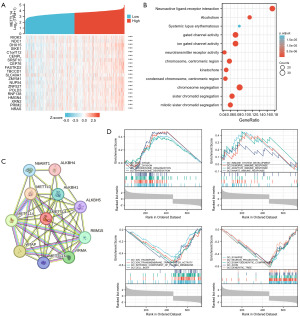 N6-adenosine methyltransferase METTL4 is a potential prognostic ...