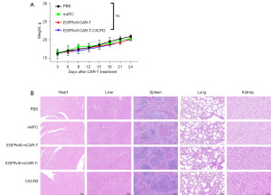 CXCR3 enhanced murine chimeric antigen receptor T cells in the ...