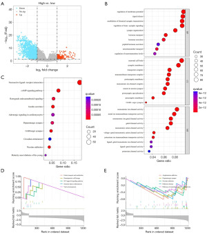 Deciphering immune landscapes: an ICD-lncRNA-derived prognostic ...