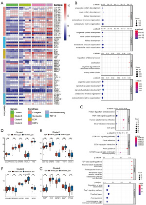 Identification of cancer-associated fibroblast subpopulation and ...