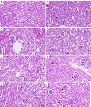 Synergistic anti-tumor effect of fenbendazole and diisopropylamine ...