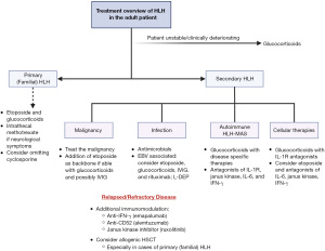 Hemophagocytic lymphohistiocytosis (HLH): a narrative review of the ...