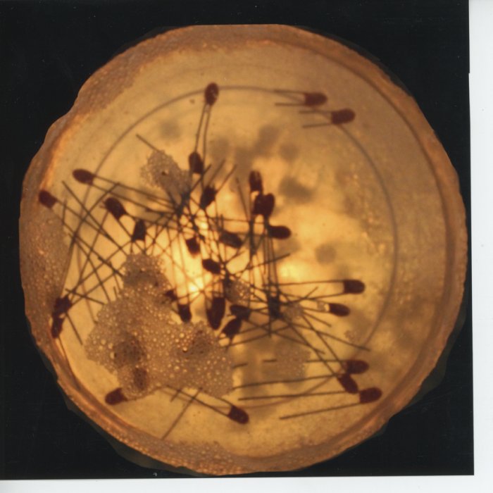 Networked Life - Cardiovascular Diagnosis and Therapy